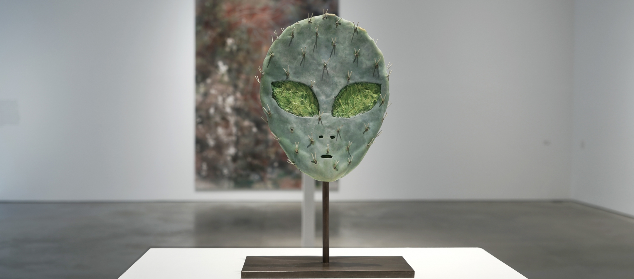 GALLERY EXHIBITIONS - 303 Gallery