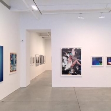 Exhibitions - Danziger Gallery