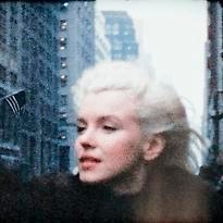 Projects - Danziger Gallery