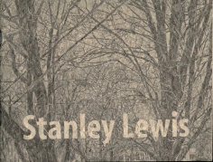 Stanley Lewis - Artists - Betty Cuningham Gallery