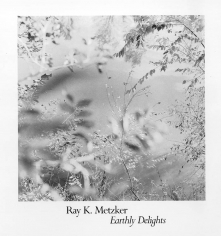 Ray K. Metzker - Exhibitions - Laurence Miller Gallery