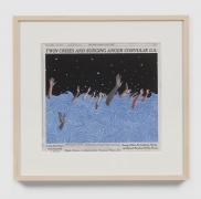 - Fred Tomaselli - Exhibitions - James Cohan