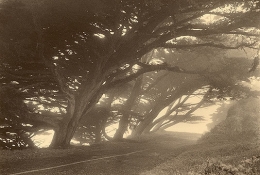 Paul Kozal - Artists - Joseph Bellows Gallery