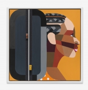 Derrick Adams - Artists - Rhona Hoffman Gallery