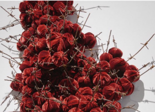 Susie MacMurray - Artists - Danese/Corey