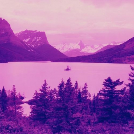 Exhibitions - Danziger Gallery