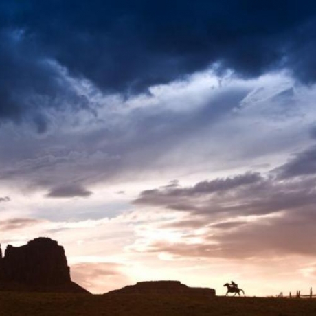 Exhibitions - Danziger Gallery