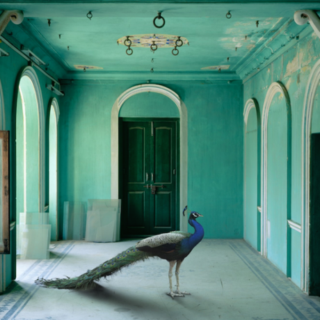 Exhibitions - Danziger Gallery