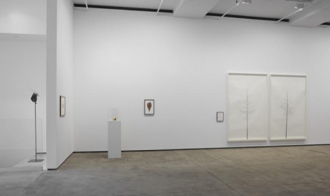 On Nature - - Exhibitions - Sean Kelly Gallery