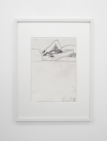 Lenz Geerk - Exhibitions - Roberts Projects
