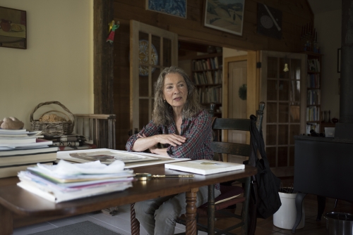 Susan Jane Walp - Recent Paintings and Works on Paper - - Viewing Room ...