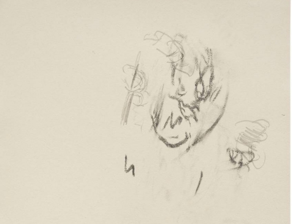 David Schutter - Artists - Rhona Hoffman Gallery