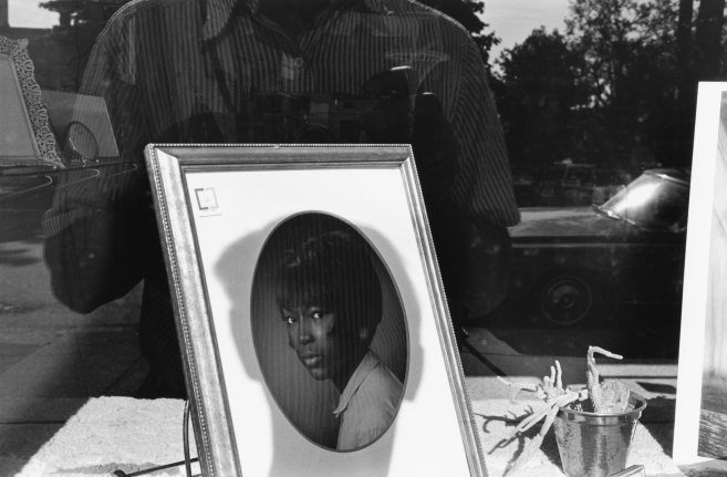Lee Friedlander - Artists - Luhring Augustine