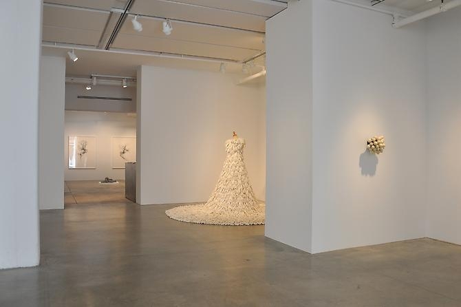 Susie MacMurray - Exhibitions - Danese/Corey