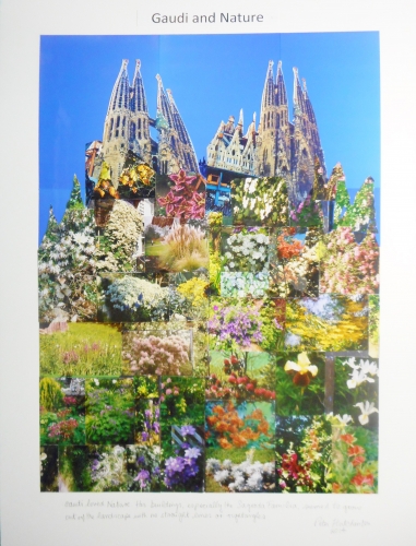 PETER HUTCHINSON - Artists - Freight + Volume