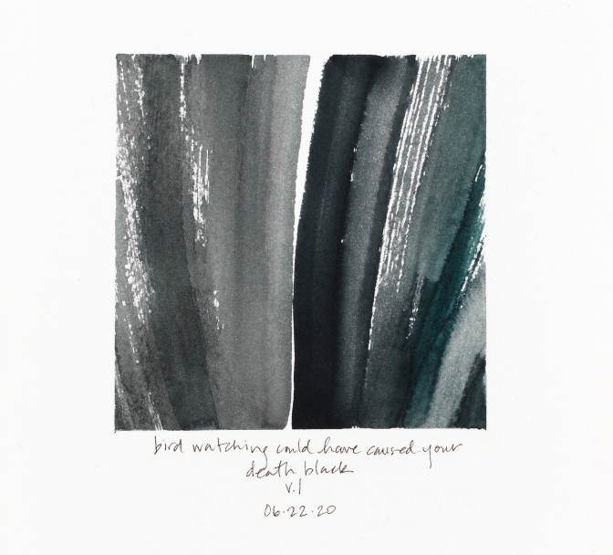 Amanda Williams - Artists - Rhona Hoffman Gallery