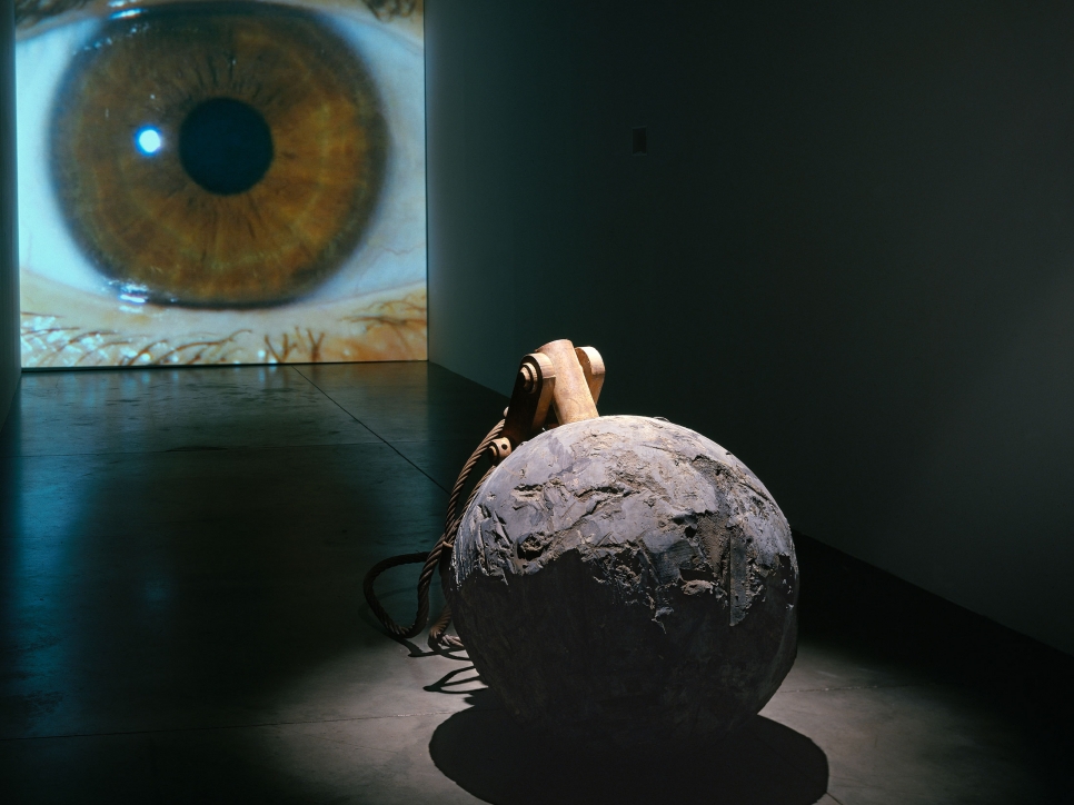 Janine Antoni - Artists - Luhring Augustine