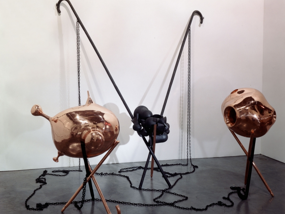 Tunga - Artists - Luhring Augustine