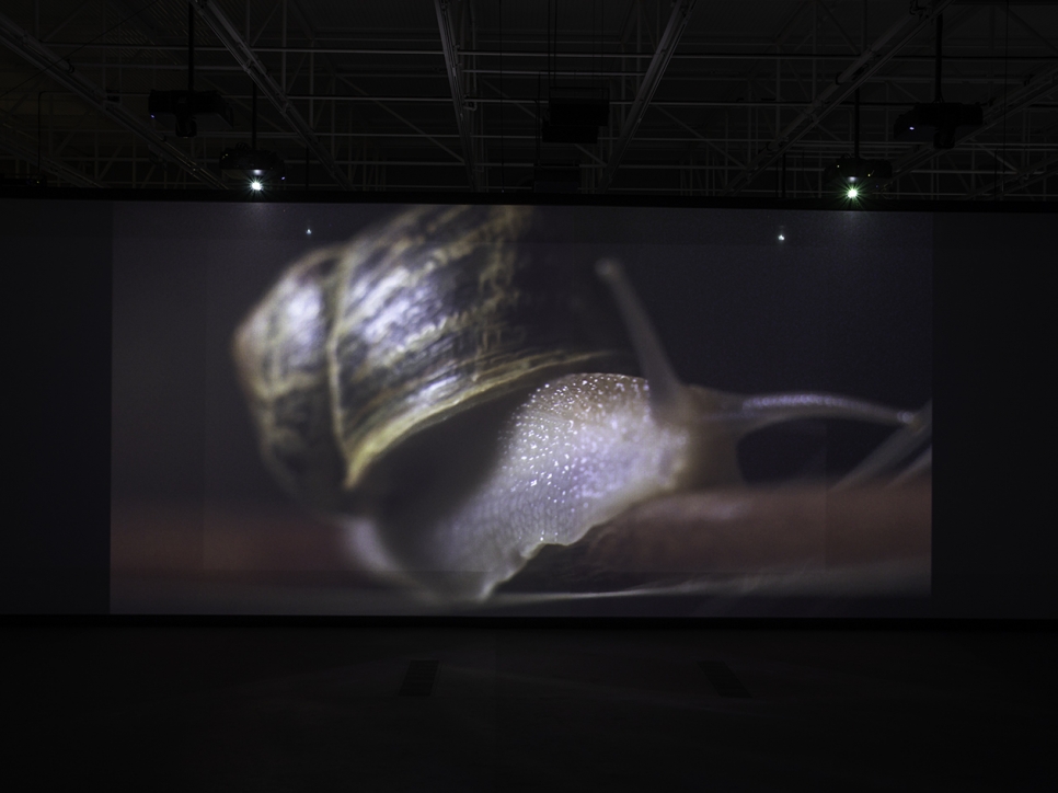 anri sala - Artists - Kurimanzutto