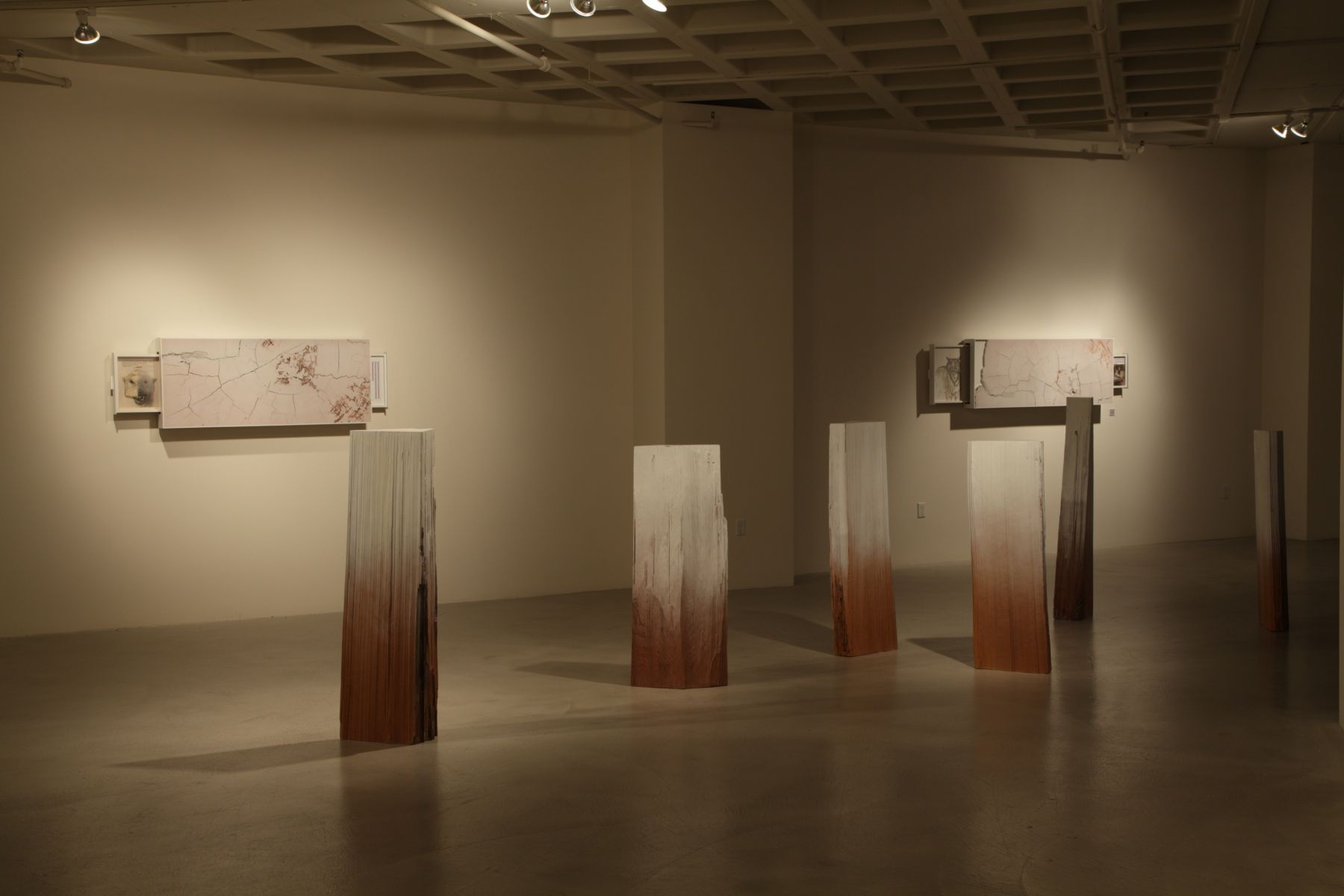 Joseph Rossano - Artists - Austin Art Projects