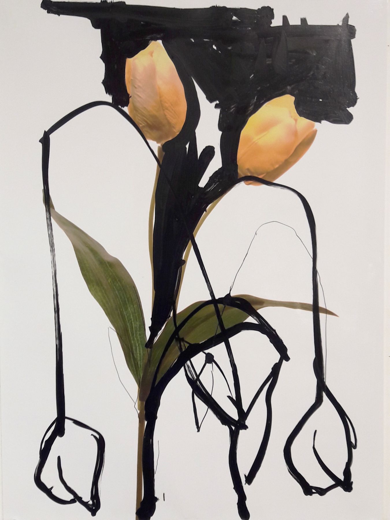 DAVID BASKIN - Artists - Freight+Volume