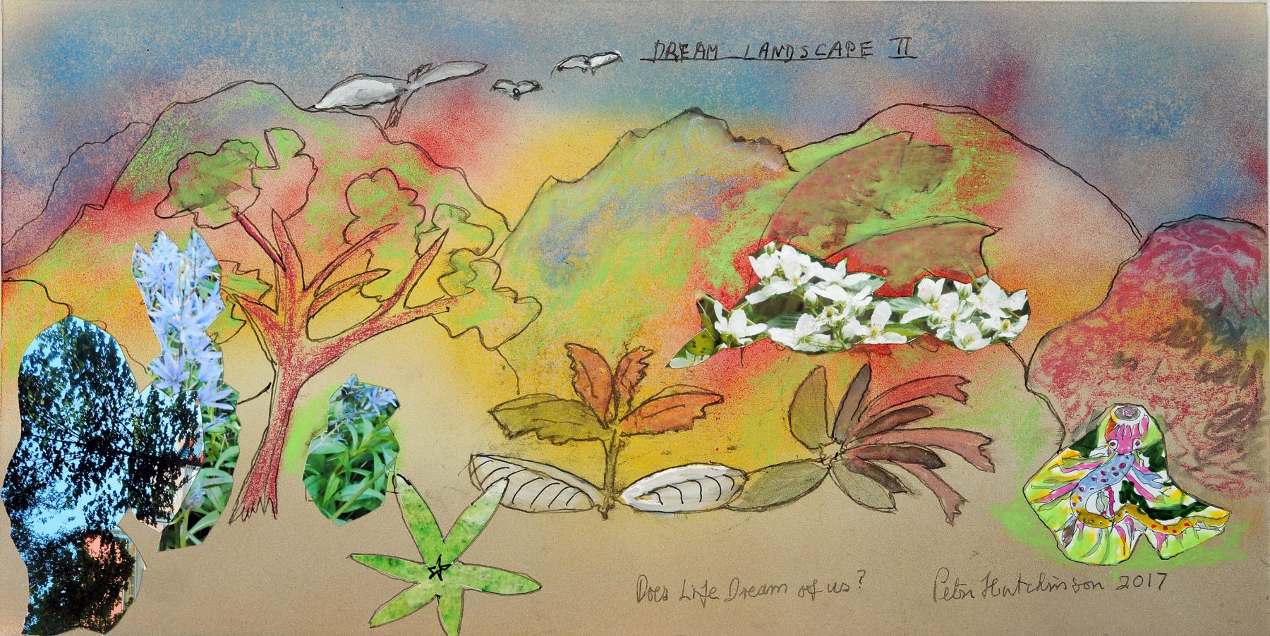 PETER HUTCHINSON - Artists - Freight+Volume