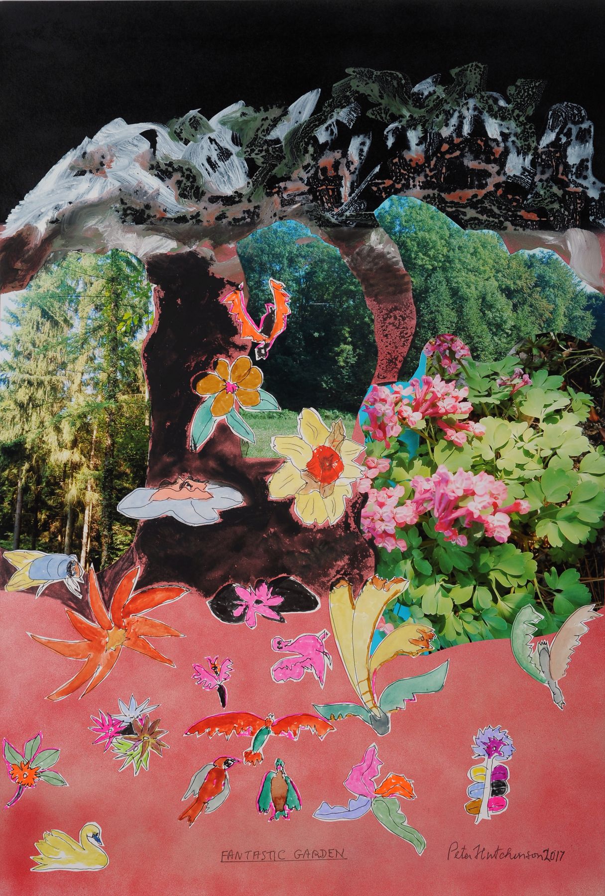 PETER HUTCHINSON - Artists - Freight+Volume