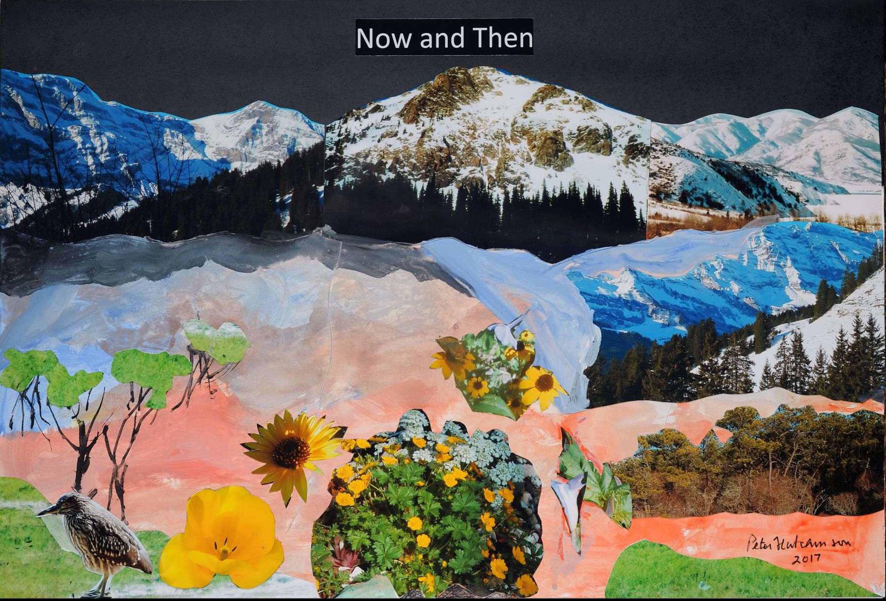 PETER HUTCHINSON - Artists - Freight+Volume