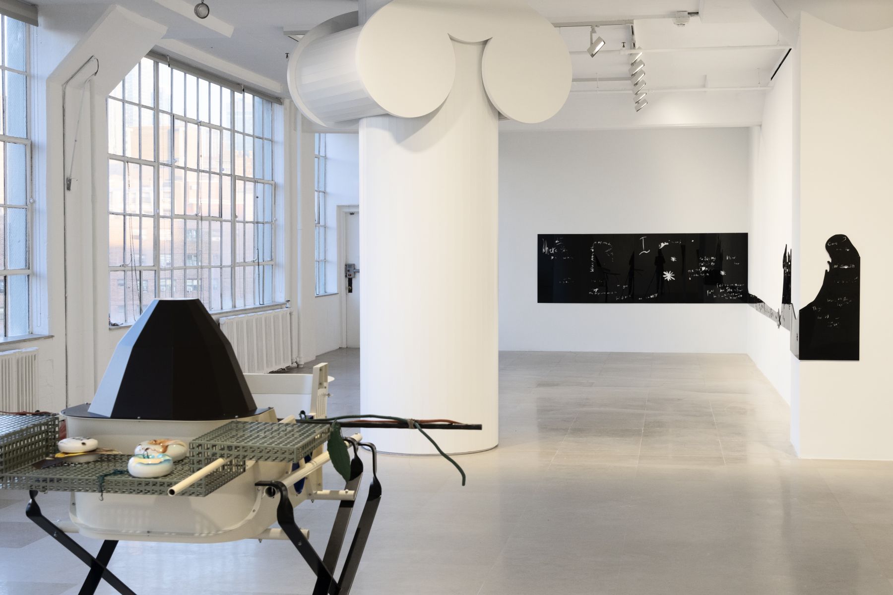 Raque Ford - Artists - Greene Naftali