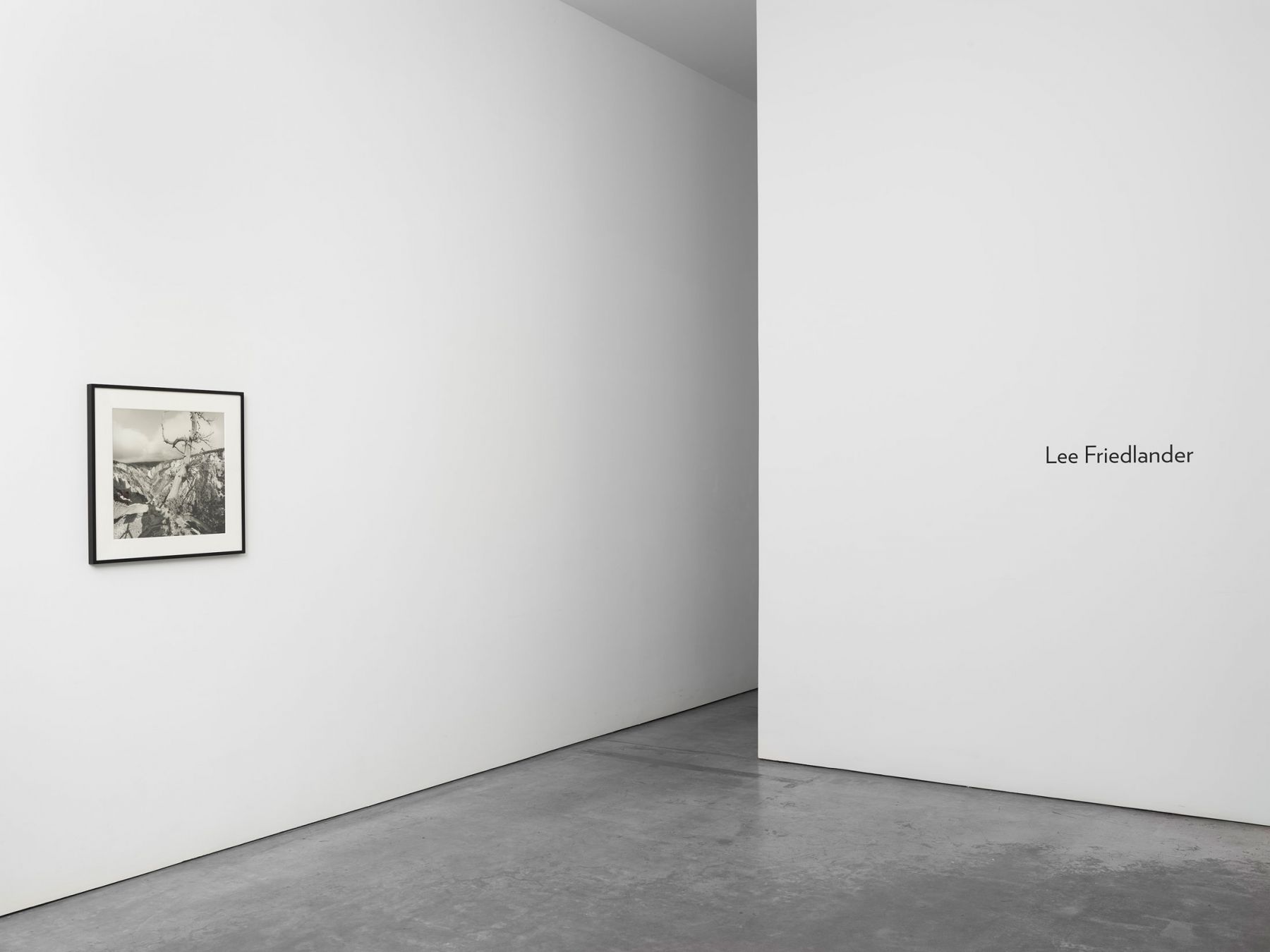 Lee Friedlander - - Exhibitions - Luhring Augustine