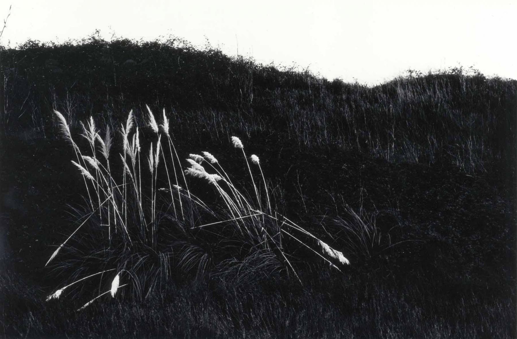 Ray Metzker - the Poet of Light - Exhibitions - Laurence Miller Gallery