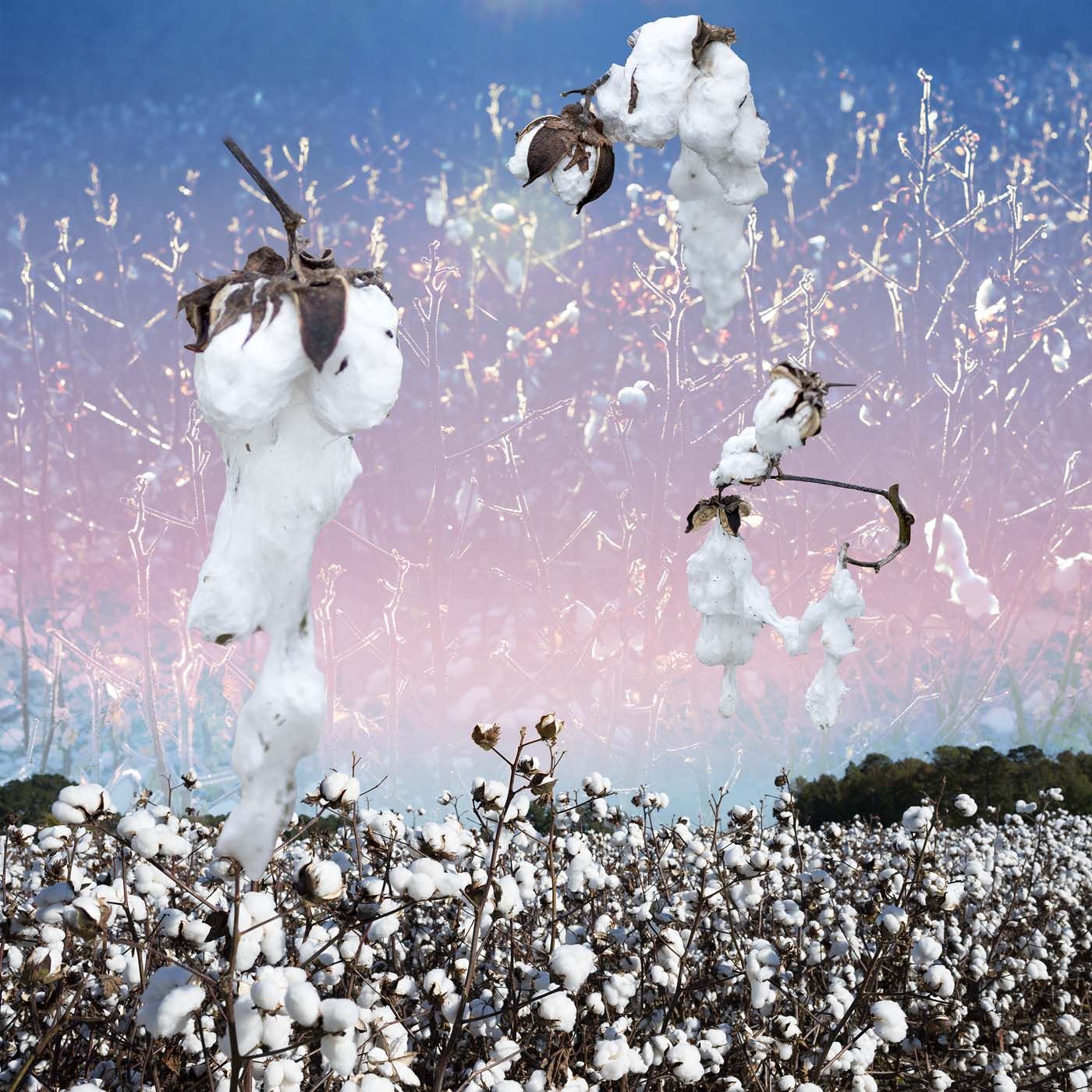 John Dowell - Artists - Laurence Miller Gallery