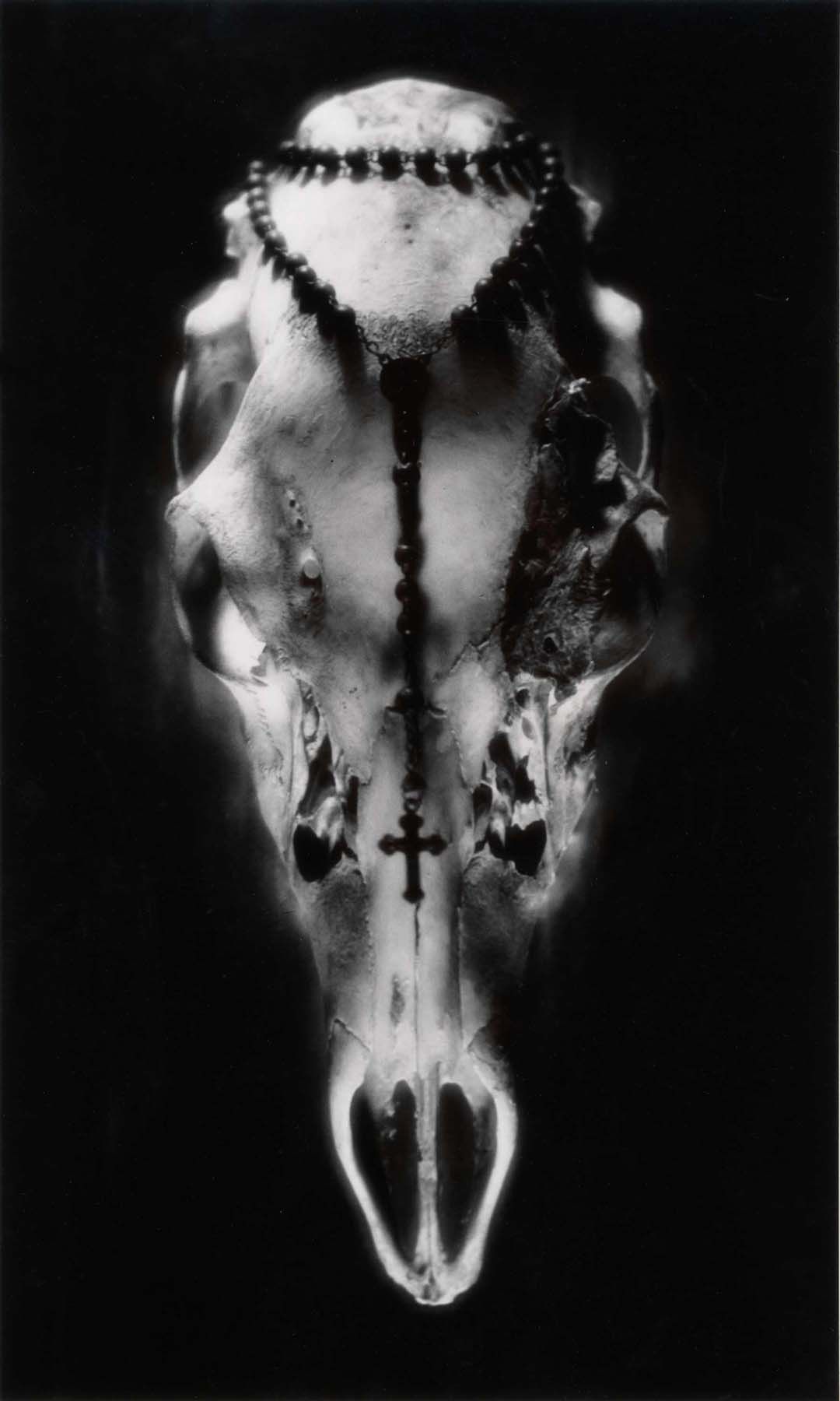 Ruth Bernhard - Portfolio - Artists - Laurence Miller Gallery