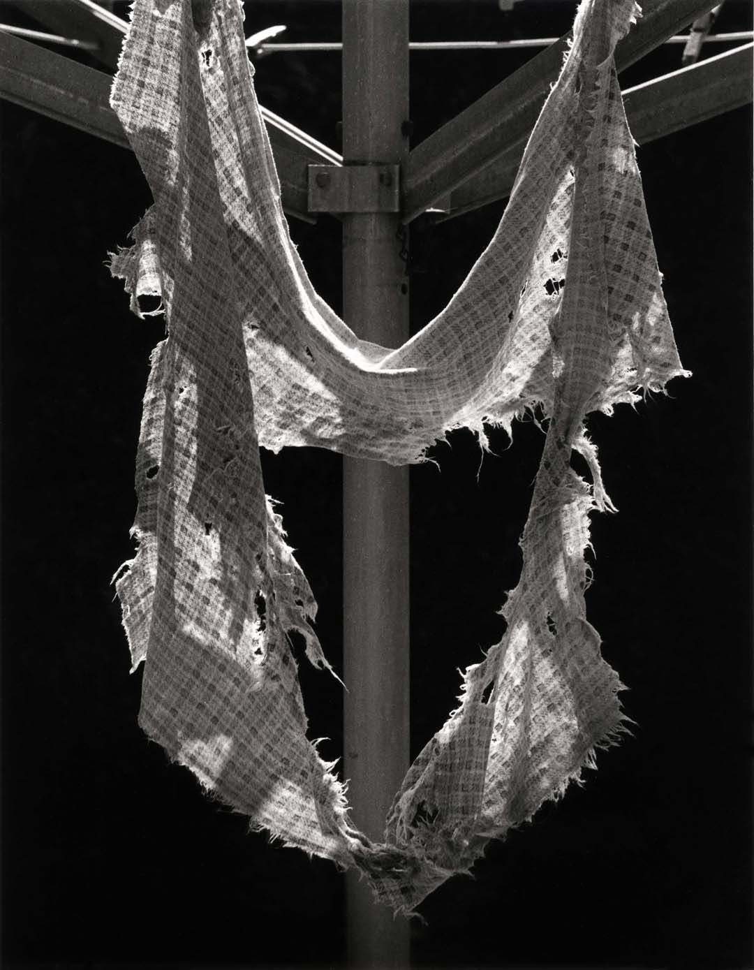 Ruth Bernhard - Portfolio - Artists - Laurence Miller Gallery