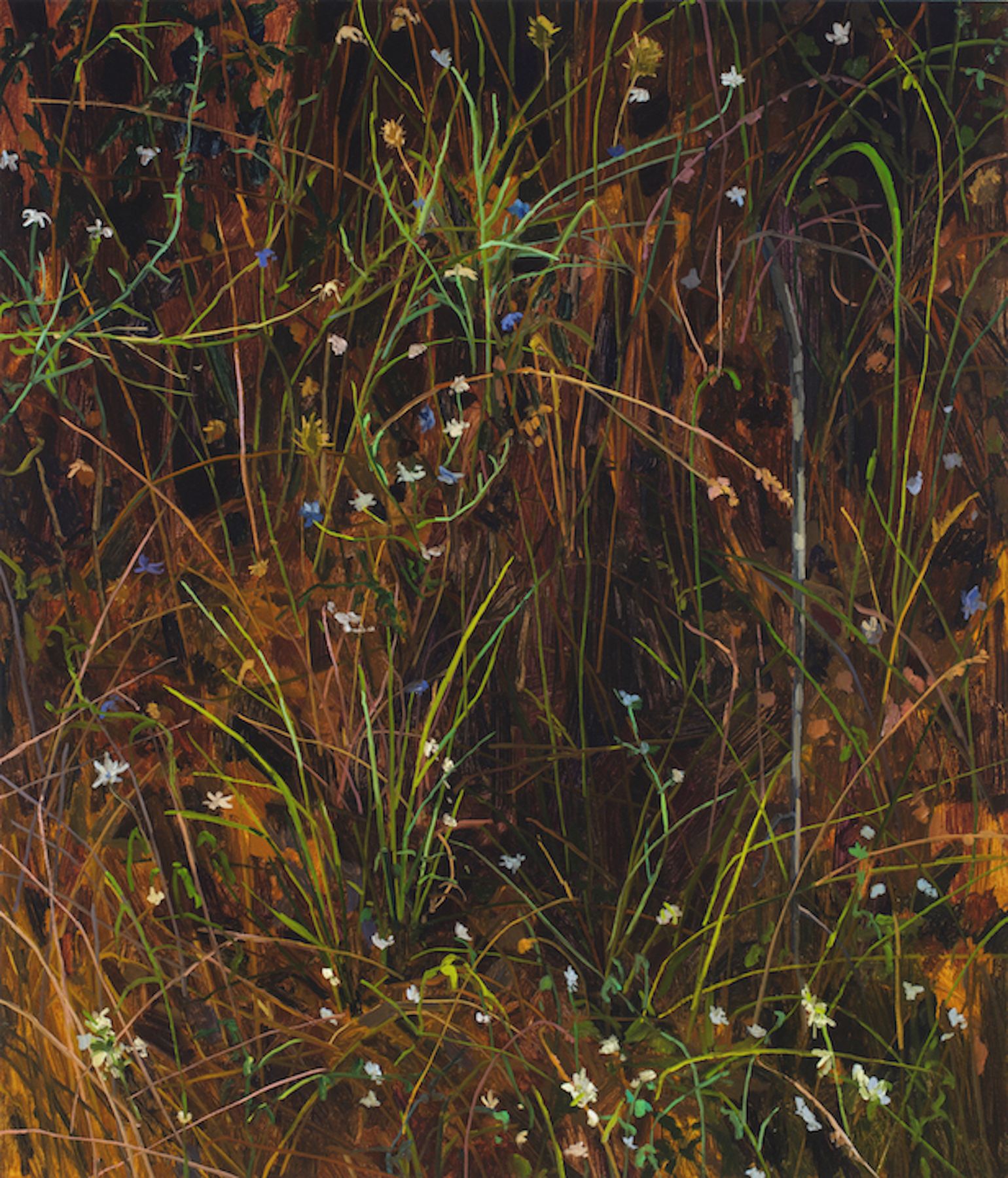 Claire Sherman - Artists - DC Moore Gallery