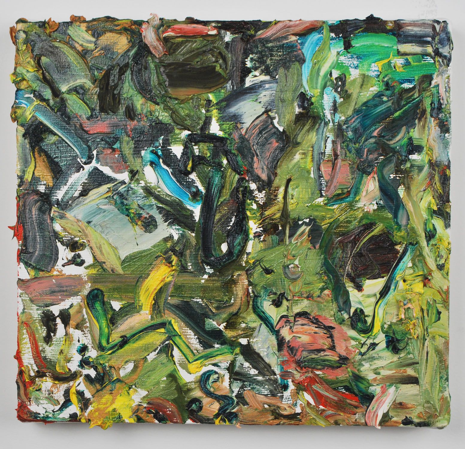 Nicholas Frank - Artists - The Green Gallery