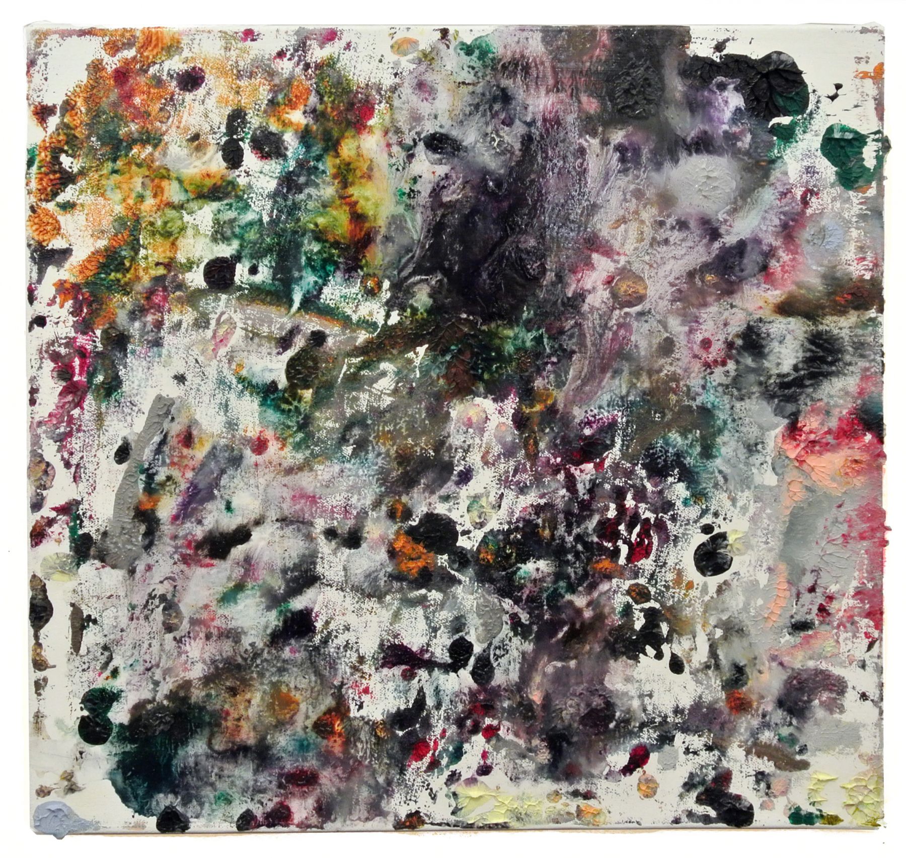 Nicholas Frank - Artists - The Green Gallery