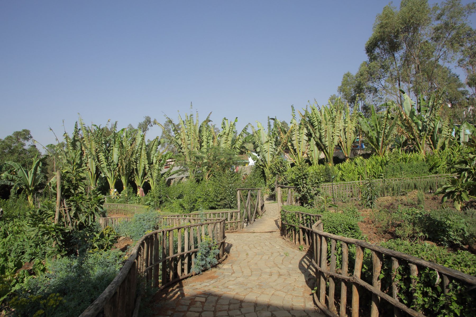 Founded by Elias Sime and Meskerem Assegued - Zoma Museum - Public ...