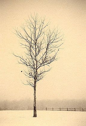 Paul Kozal - Artists - Joseph Bellows Gallery