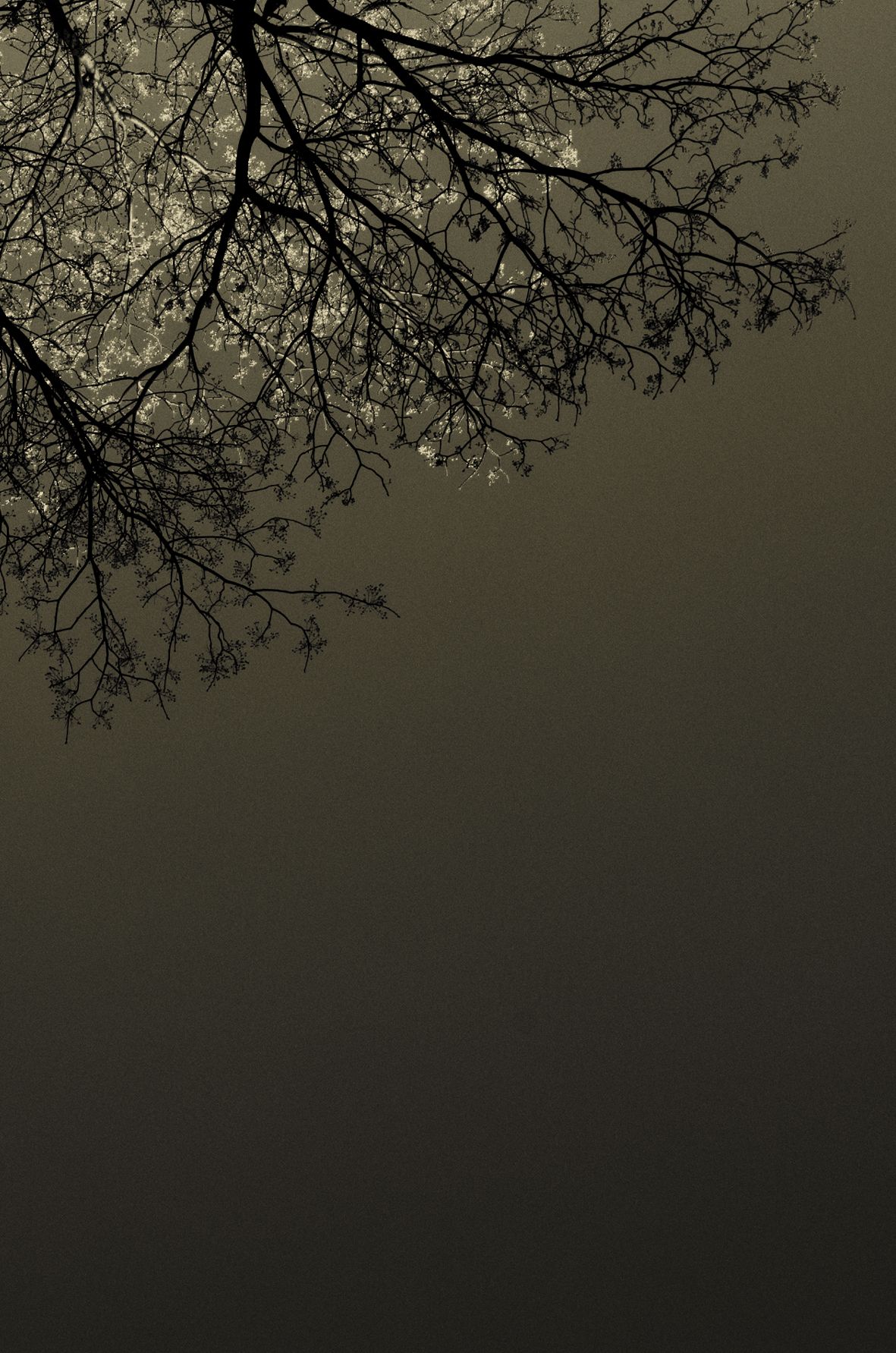 Paul Cupido - Artists - Danziger Gallery