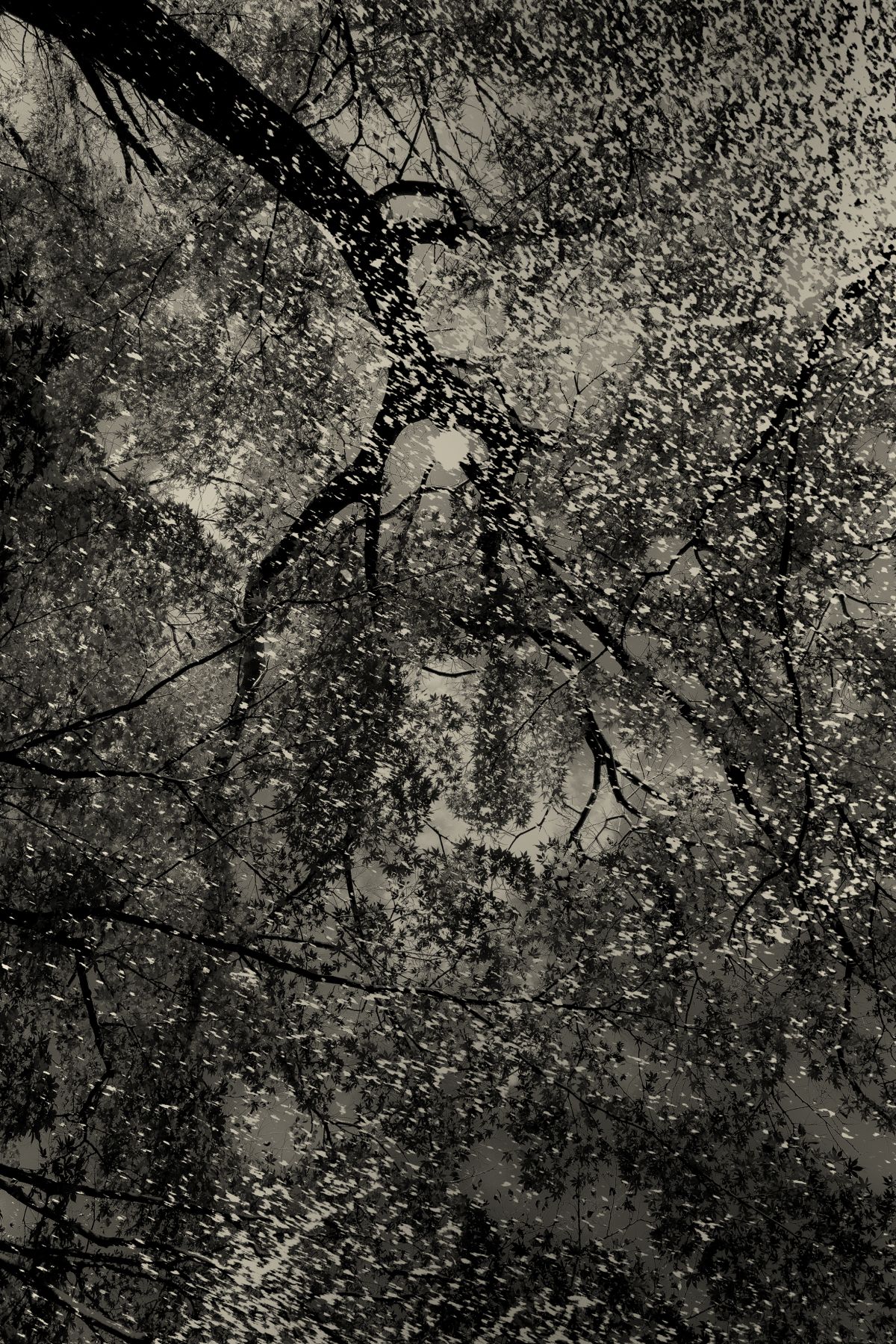 Paul Cupido - Artists - Danziger Gallery