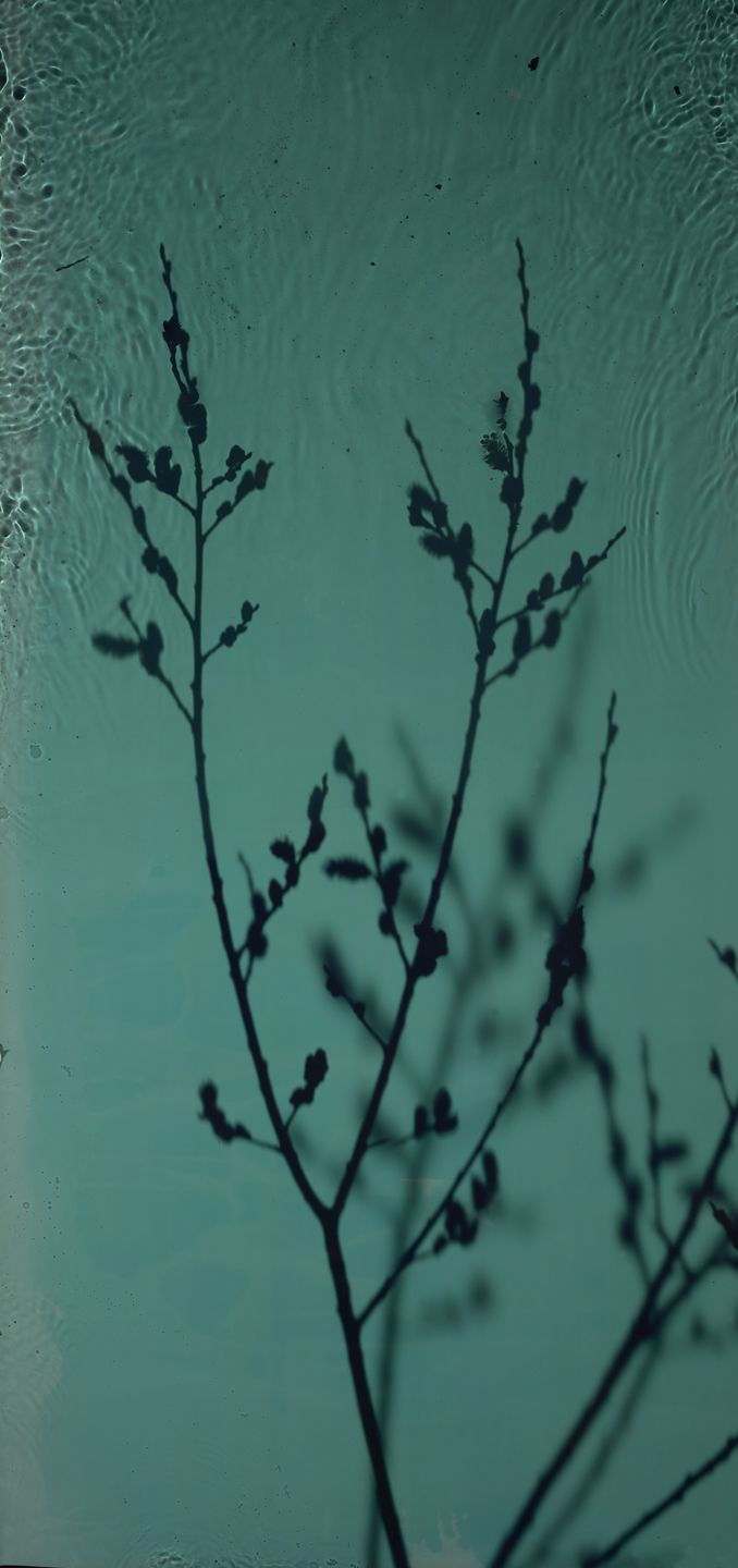 Susan Derges - Artists - Danziger Gallery