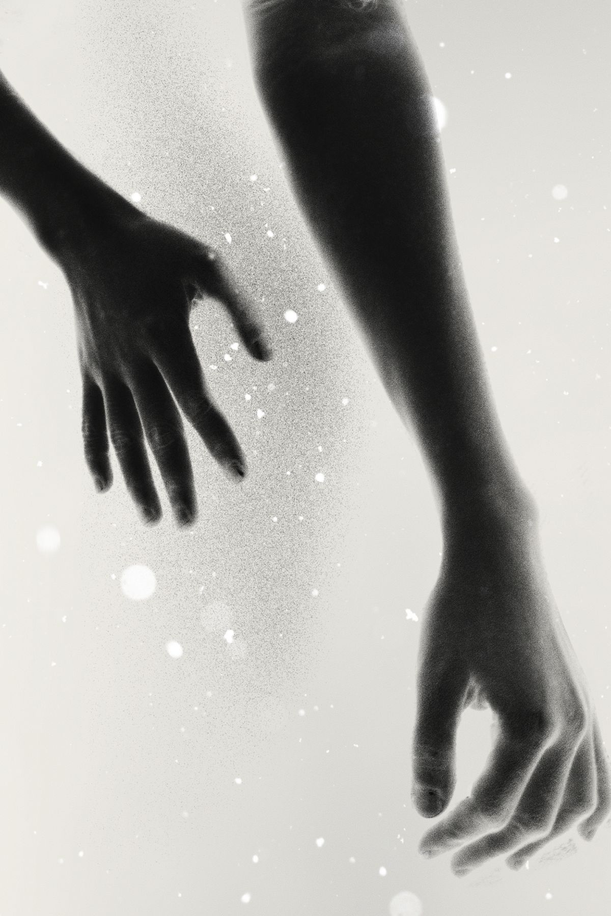 Paul Cupido - Artists - Danziger Gallery