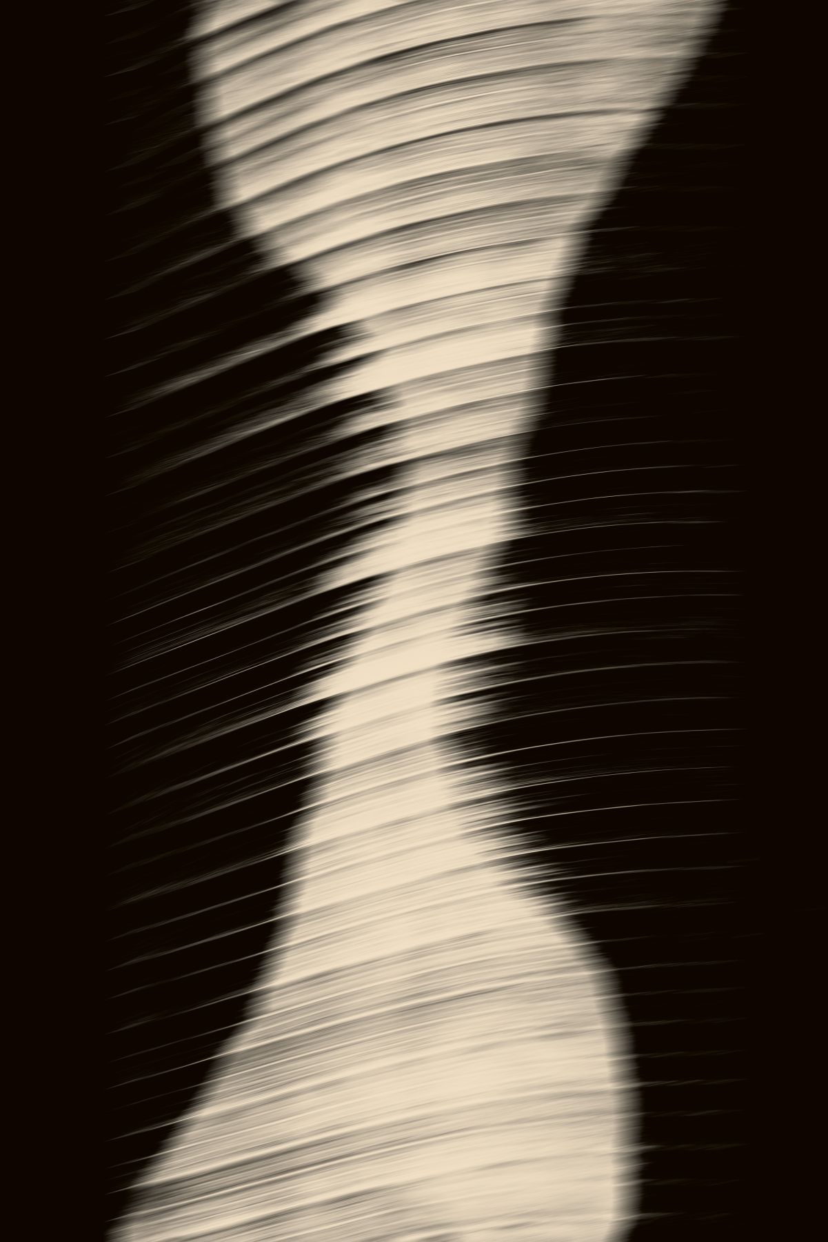 Paul Cupido - Artists - Danziger Gallery