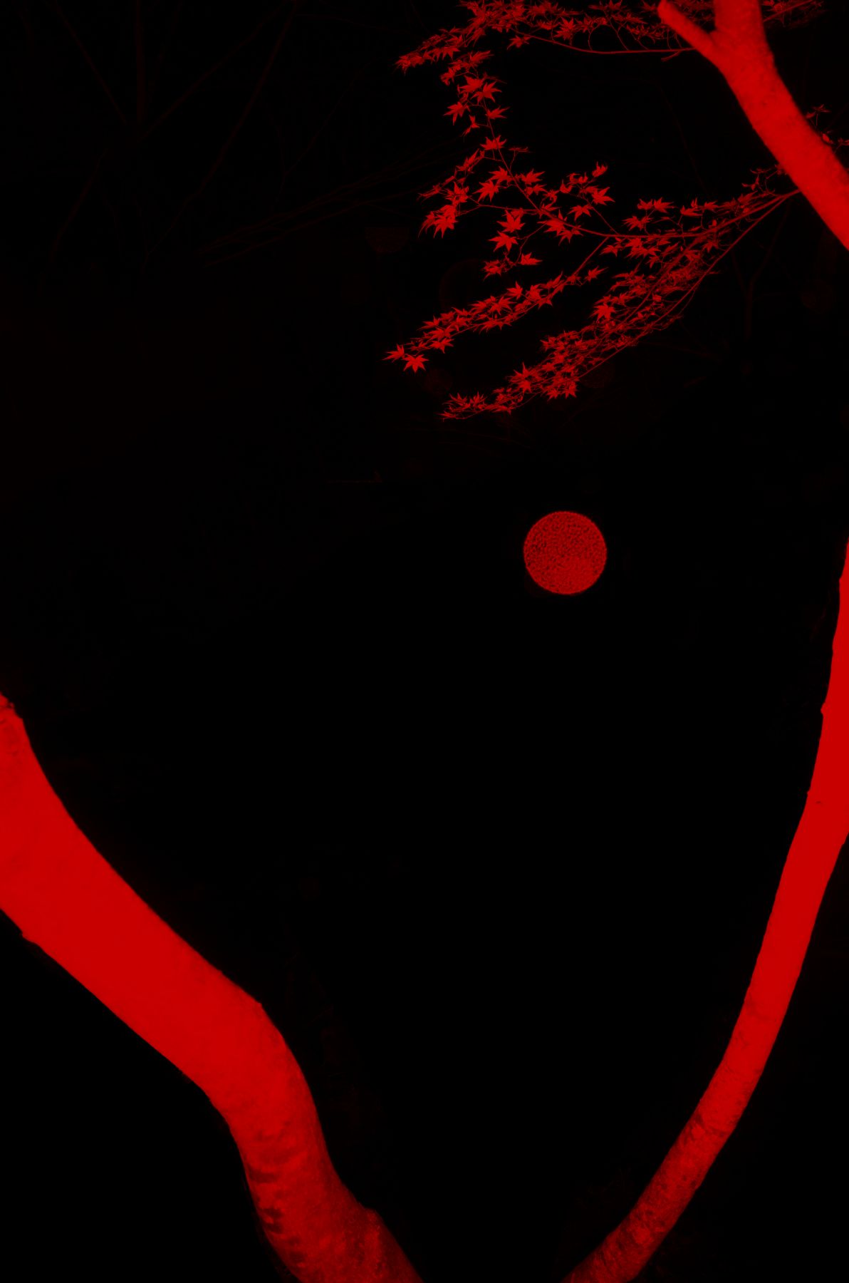 Paul Cupido - Artists - Danziger Gallery