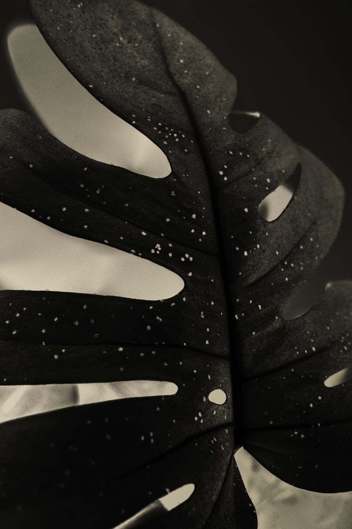 Paul Cupido - Artists - Danziger Gallery