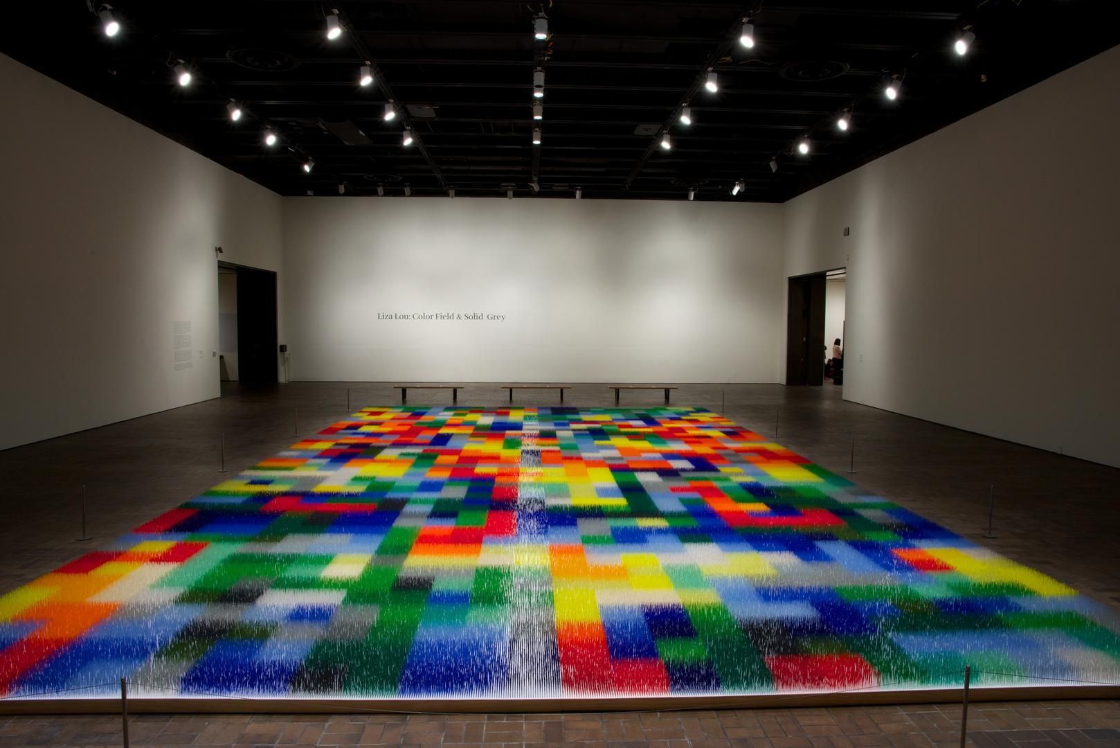 Liza Lou: Color Field and Solid Grey - Neuberger Museum of Art ...