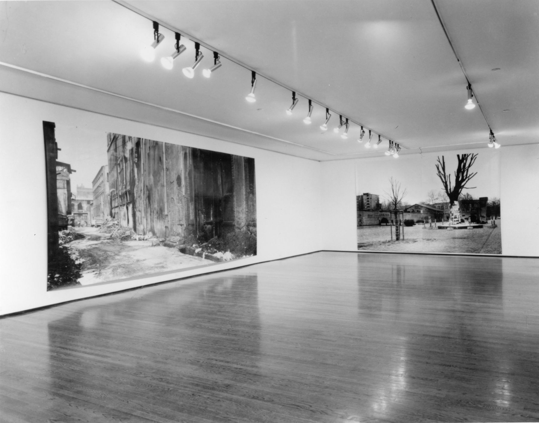 Hannah Collins - Signs of Life - Exhibitions - Castelli Gallery