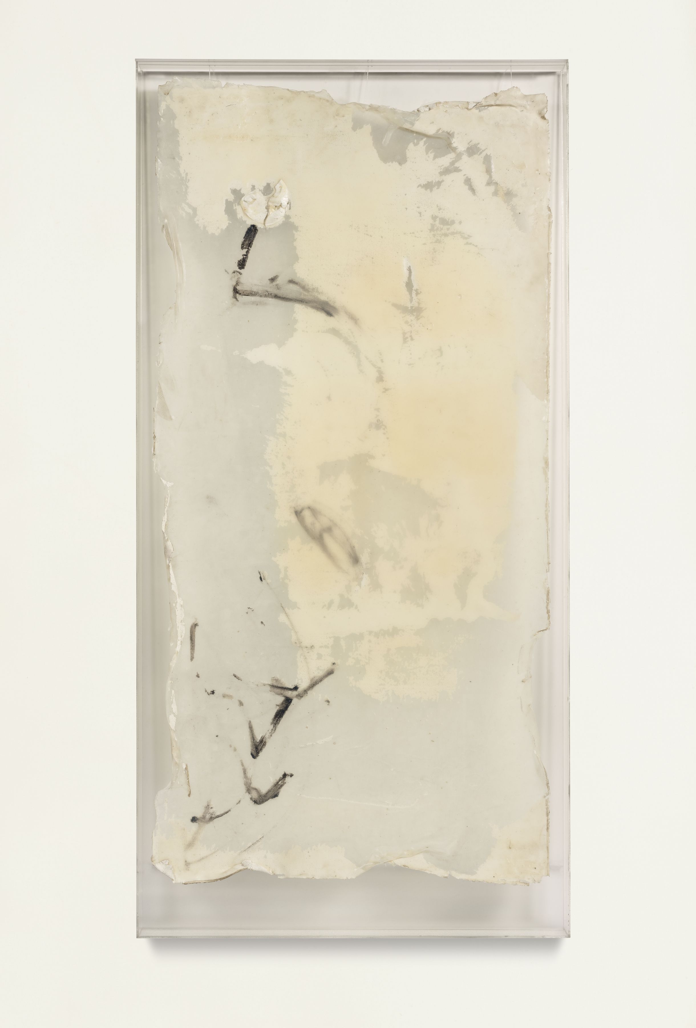 Shang Yang - Artists - Chambers Fine Art