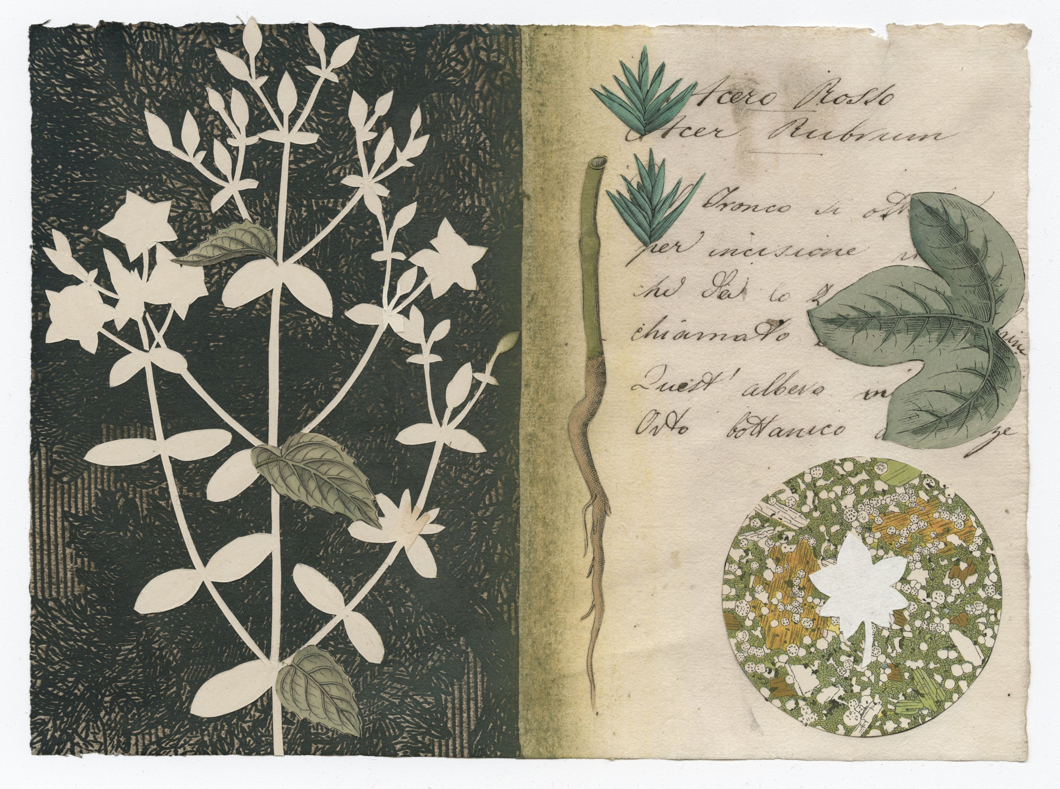 Billy Renkl - Chrissy Angliker - Megan Olson - Szilard Huszank - Four ...